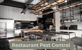 Restaurant & Commercial Kitchens – Pest Control Superstore