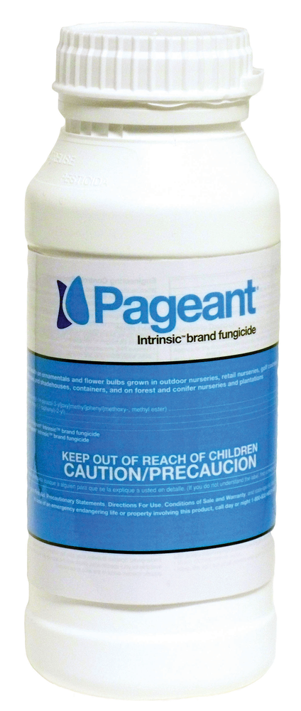 Pageant Intrinsic Brand Fungicide - 1lb Bottle – Pest Control Superstore