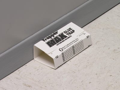 TRAPPER MAX Universal Glue Board - 72 Traps – Pest Control Superstore